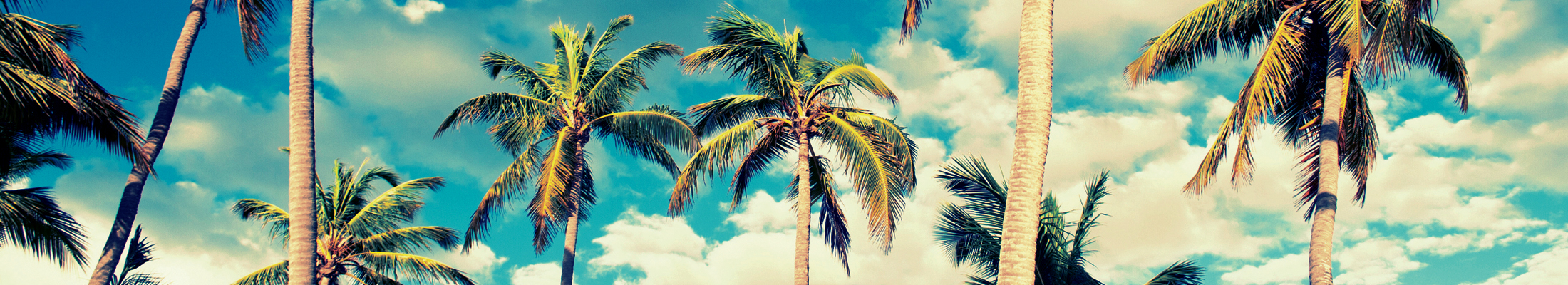 Home - Ocean Landing Resort and Racquet Club