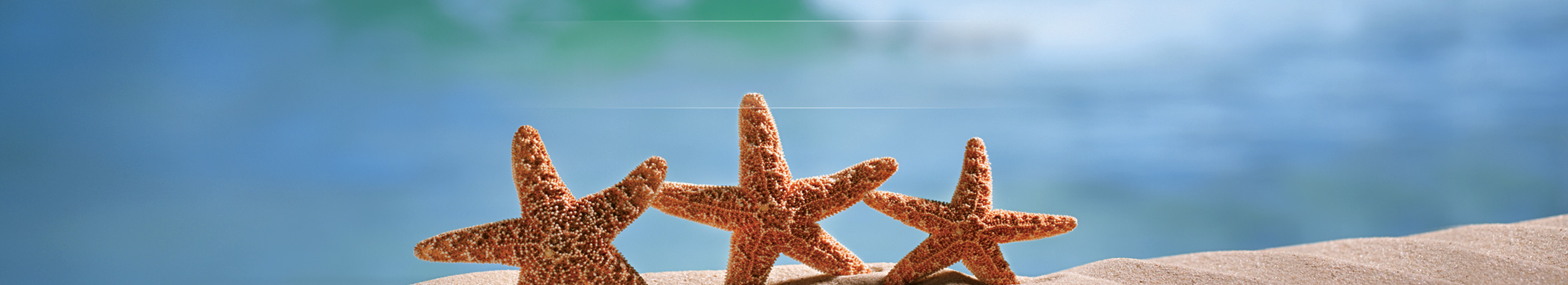 Home - Ocean Landing Resort and Racquet Club